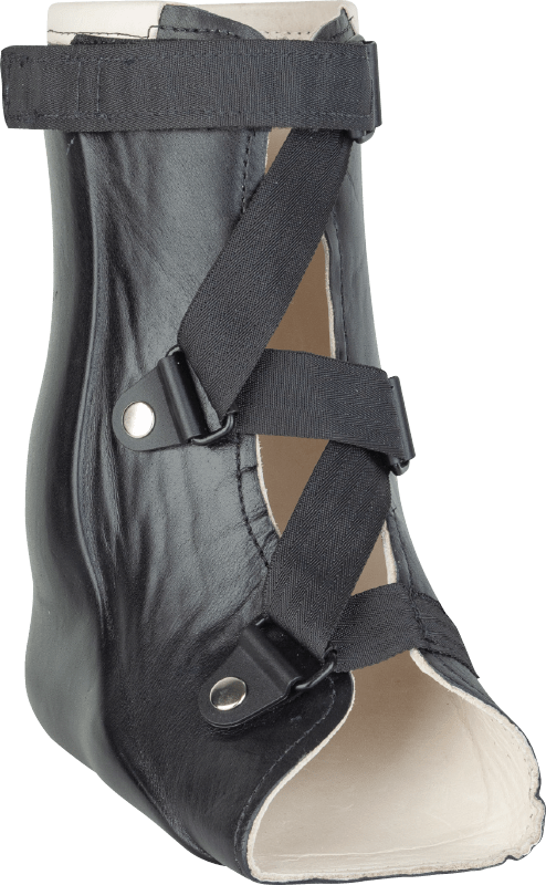 Orthomerica Products, Inc. – Orthomerica is a worldwide leader in the ...